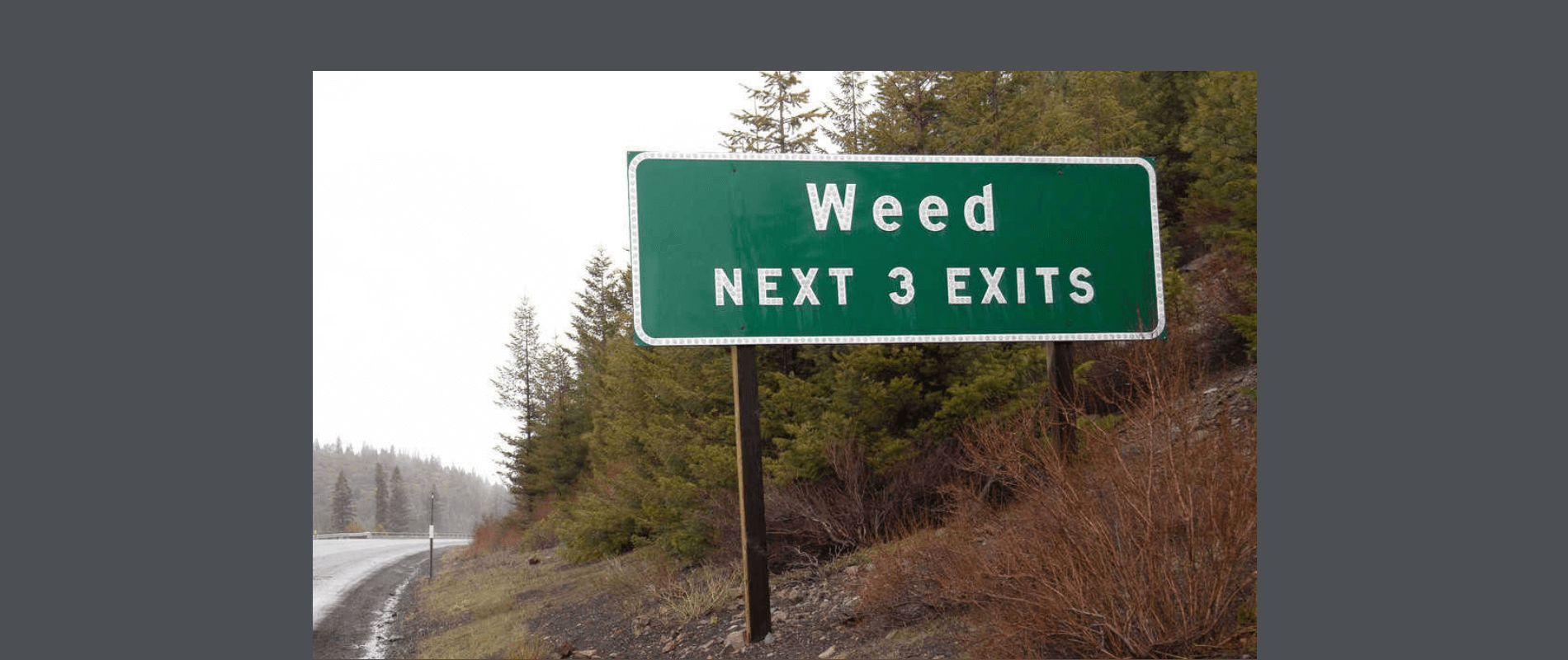 Exiting a Cannabis Business | Canna Advisors