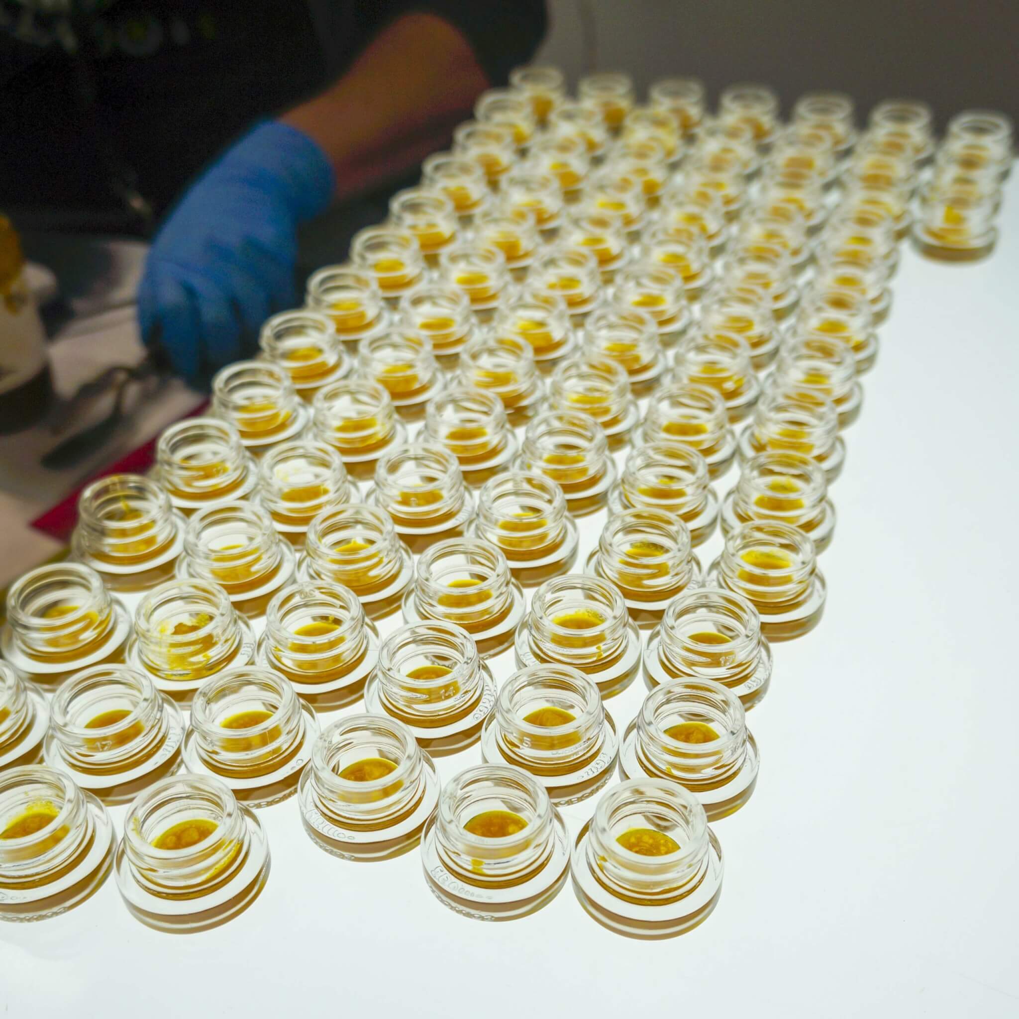 What to Know About New York’s Conditional Processor License | Canna ...