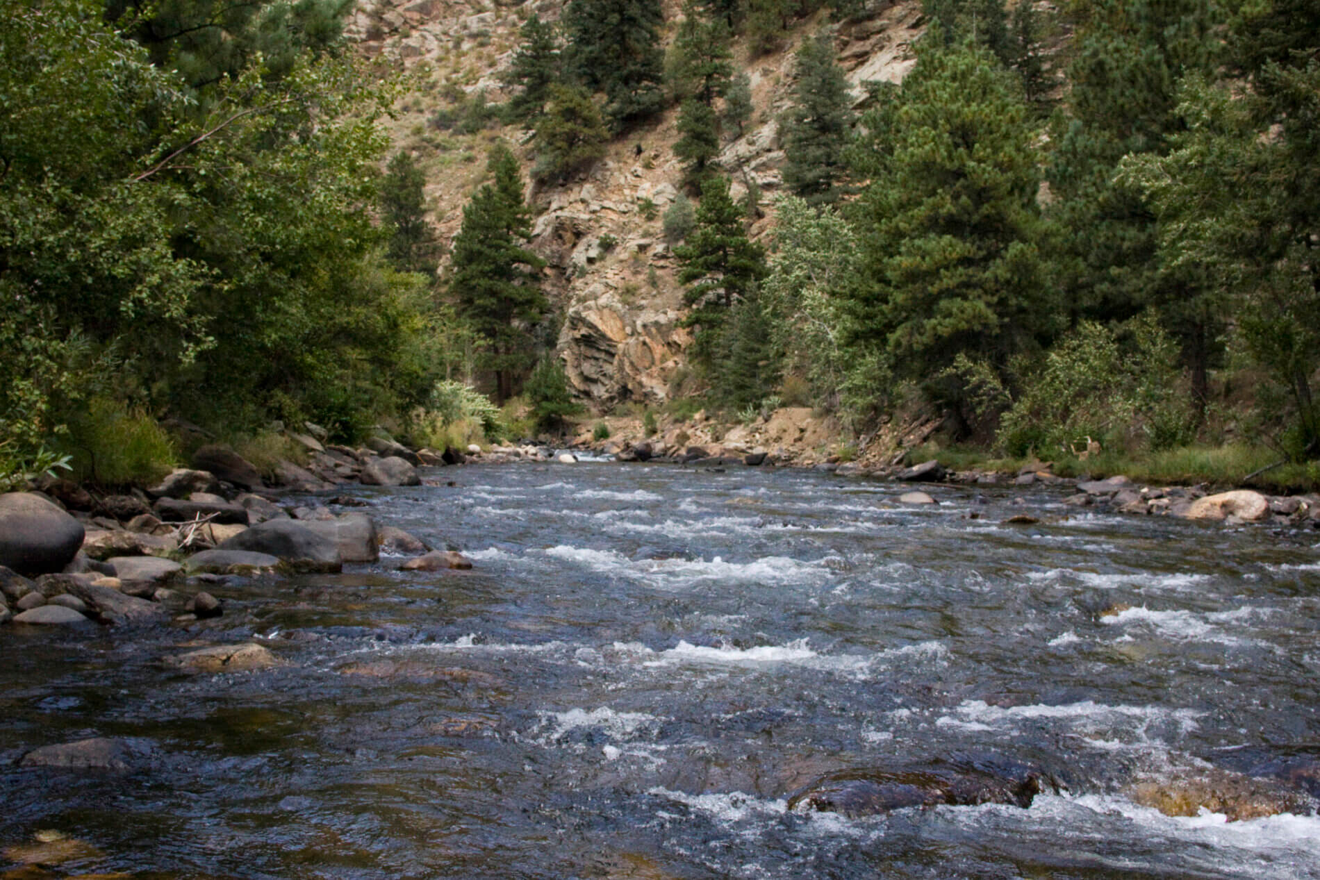 Colorado Local Adult-Use Applications | Canna Advisors